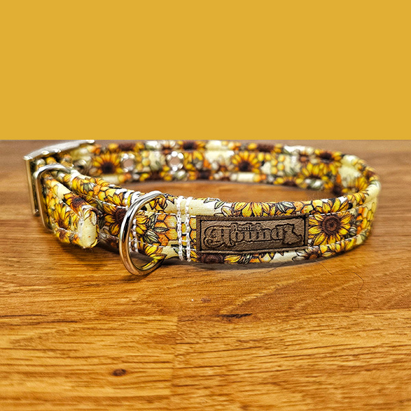 Sunflower Dog Collar – Heath & Hound Pet Boutique
