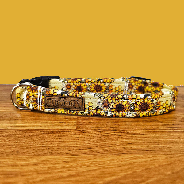 Sunflower Dog Collar – Heath & Hound Pet Boutique