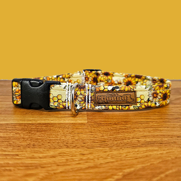 Sunflower Dog Collar – Heath & Hound Pet Boutique