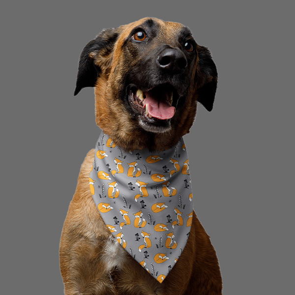 Grey Fox Bandana – Heath & Hound Pet Boutique