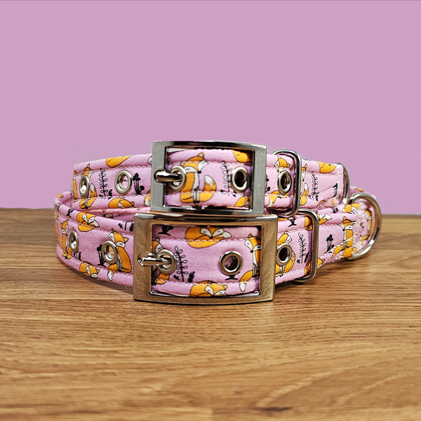 Pink Fox Dog Collar – Heath & Hound Pet Boutique